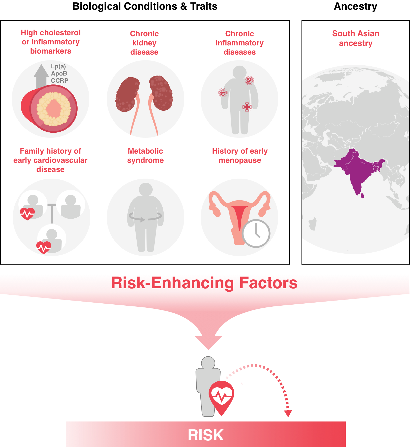"Risk-enhancing factors" include biological conditions and traits such ...